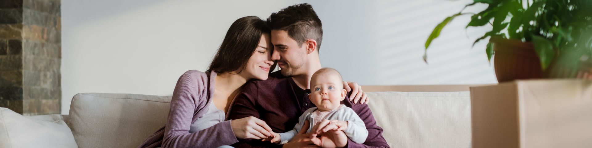 Pest Control in Elgin South Carolina, Local Elgin Exterminator