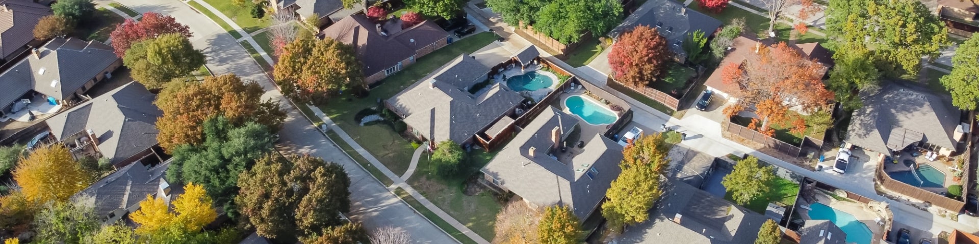 Pest Control in Allen Texas | Local Allen Exterminator