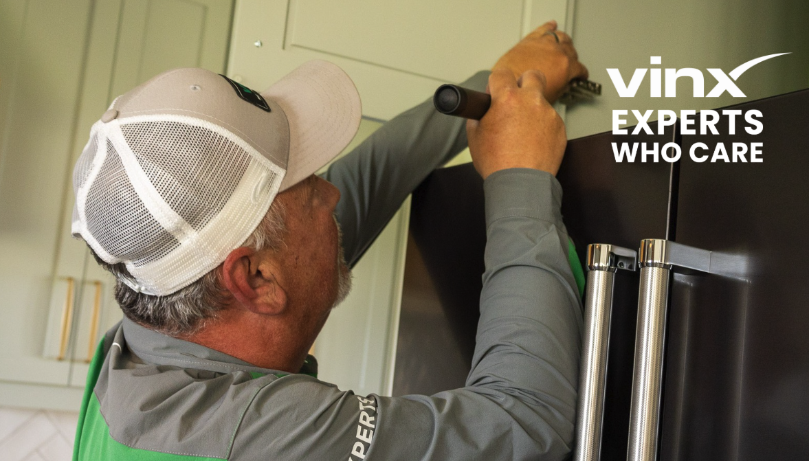 Get the Best Mouse Pest Control Prices for Your Home - Vinx Pest Control